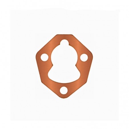 DF Fuel Injection Pump Shim 0.2mm Wahoo