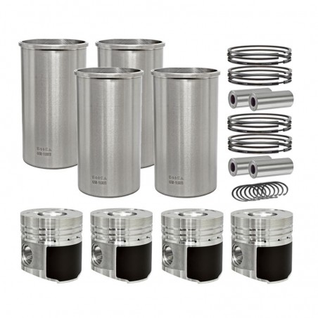 495B Cylinder Rebuild Kit Xinchai