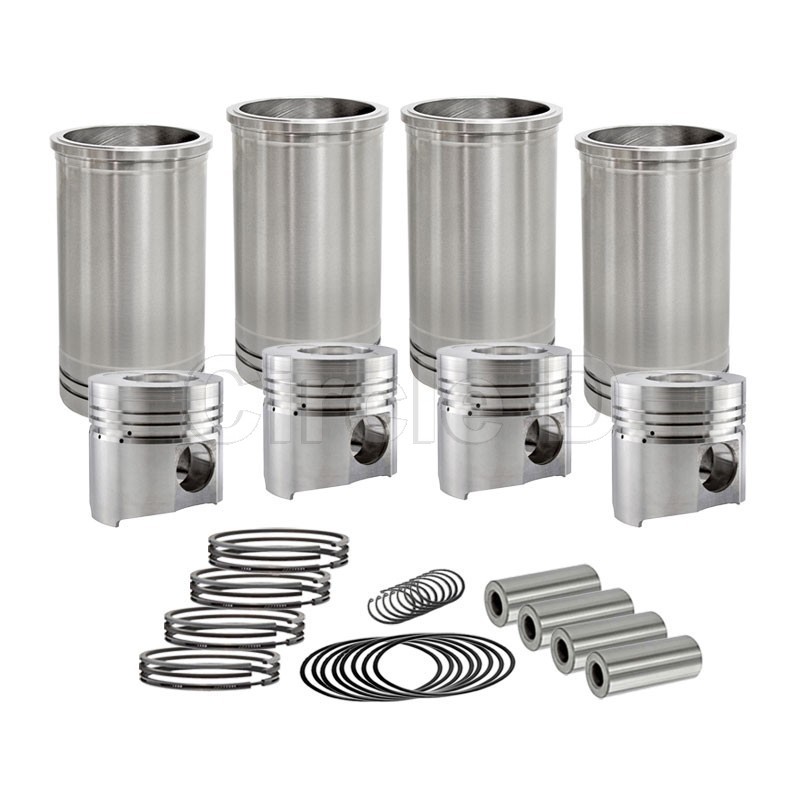JD4100 B Cylinder Rebuild Kit Jiangsu Jiangdong JD